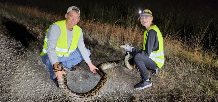 Invasion of the Pythons! | Angler Action Foundation